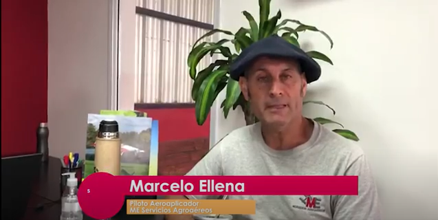 Samba TV: Marcelo Ellena nos cuenta la importancia de los ...