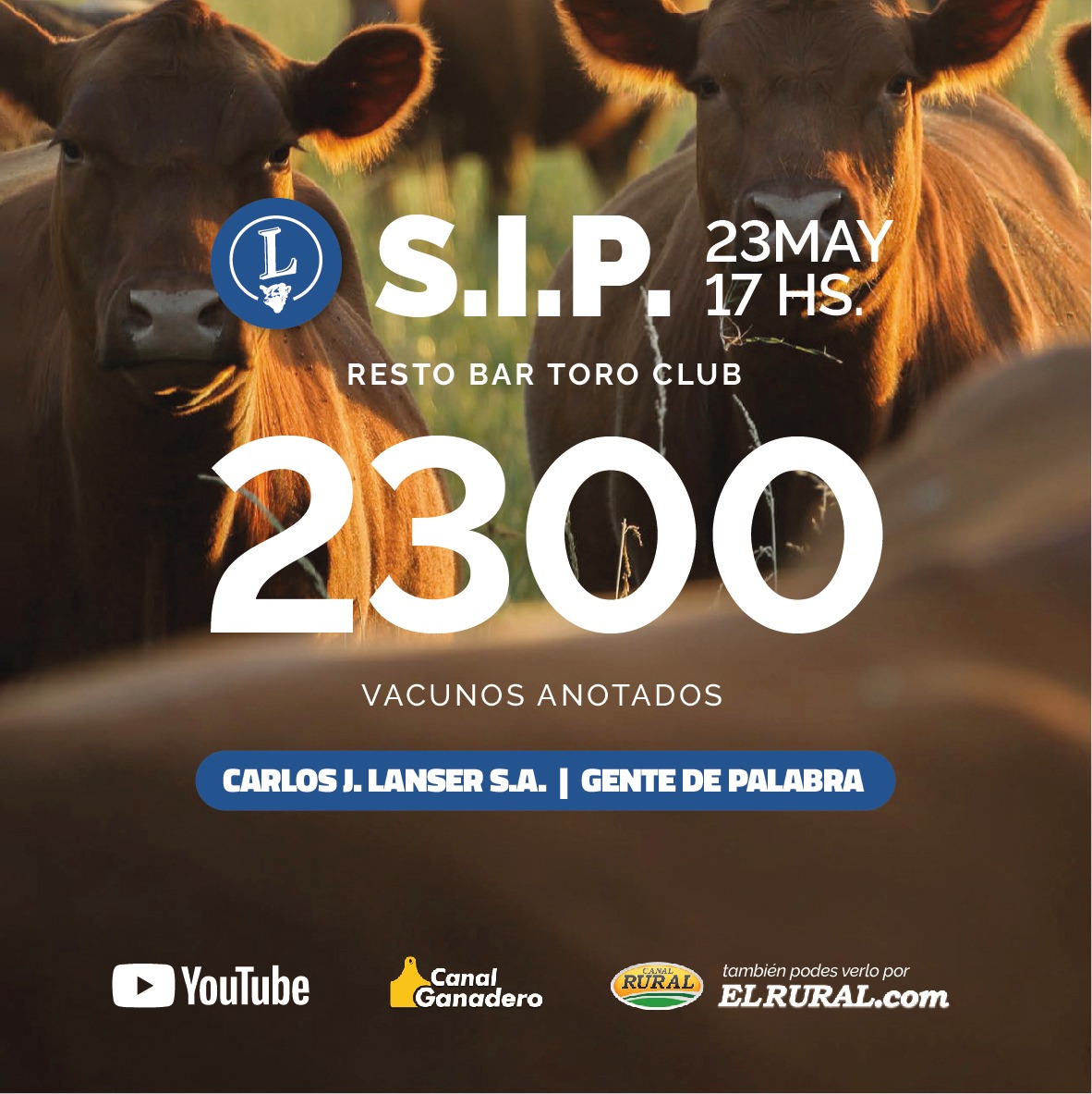 Nuevo S.I.P. de Carlos J. LANSER en Moldes - FM Samba